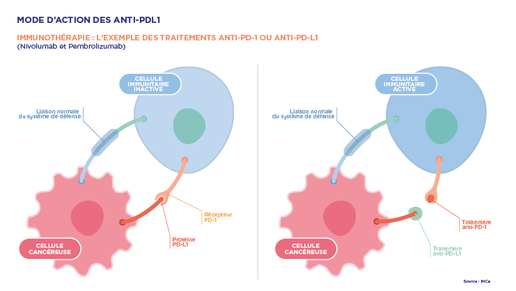 Immunothérapie, la nouvelle frontière ? | Leem